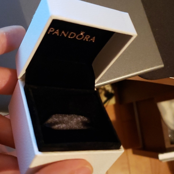 Pandora | Other | Authentic Pandora Charm Box Velvet | Poshmark